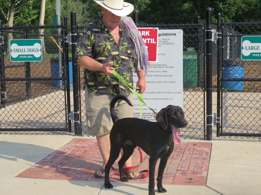 Ohio Valley Jaycees Plan ‘Canine Carnival’ Next Month at Wheeling Dog ...